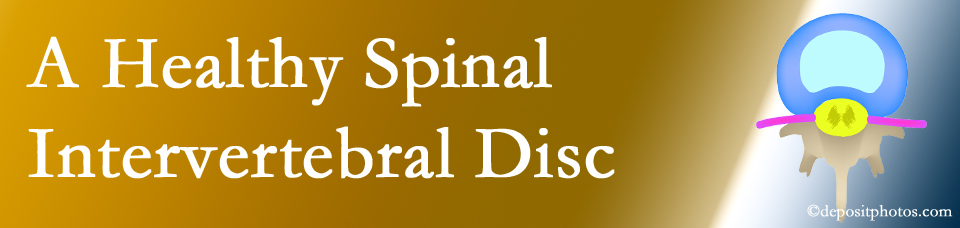 What Is A Healthy Intervertebral Disc of The Nashua Spine? | Moriarty ...